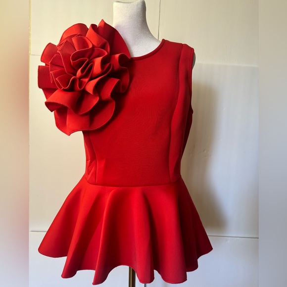 Closette Chic | Tops | Closette Chic Red Peplum Top | Poshmark